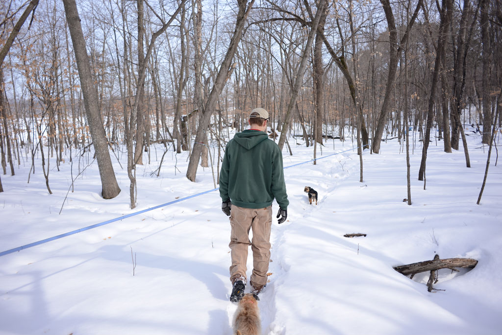Tree Selection | Somerskogen Sugarbush - 100% Pure Minnesota Maple Syrup